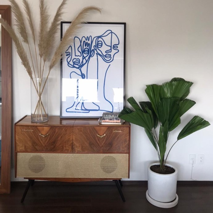 Quina | Plantas y macetas a la puerta de tu casa