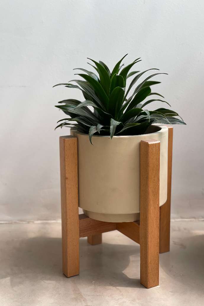 Quina | Plantas y macetas a la puerta de tu casa