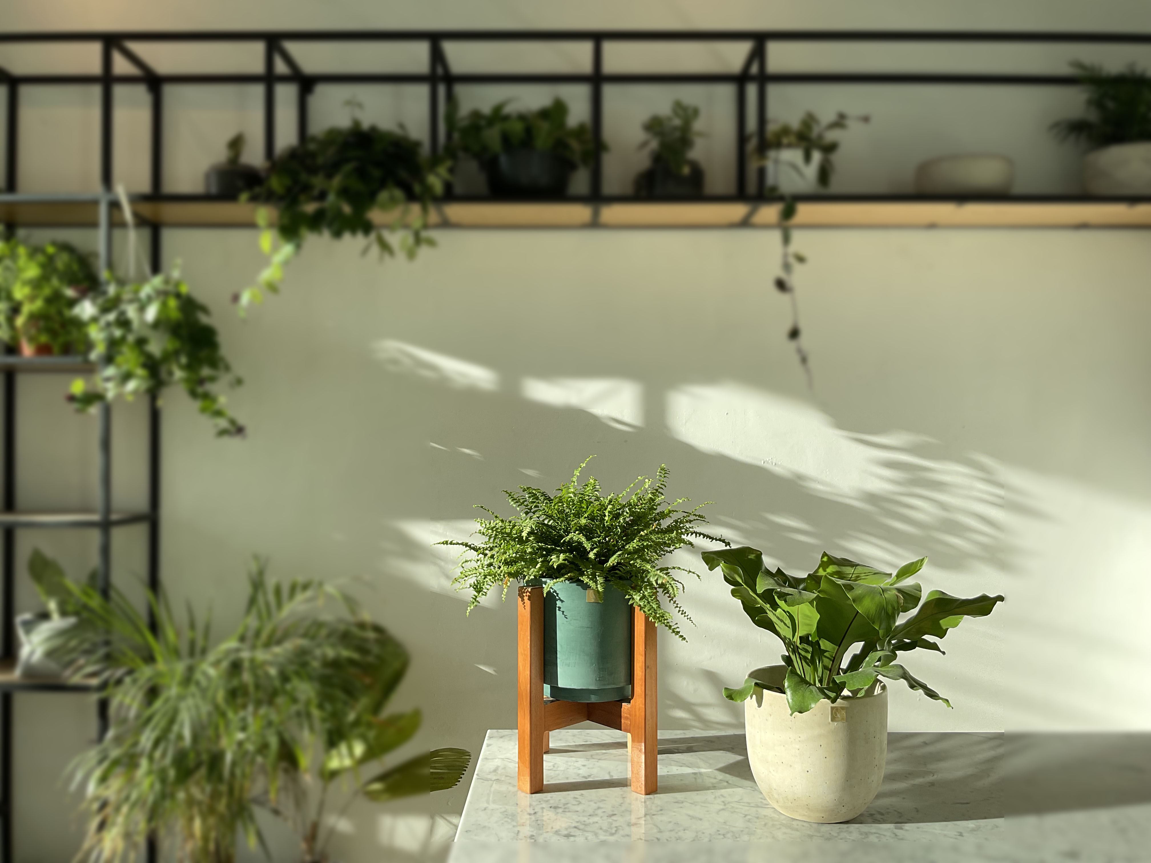 Macetas decorativas para diseño de interiores