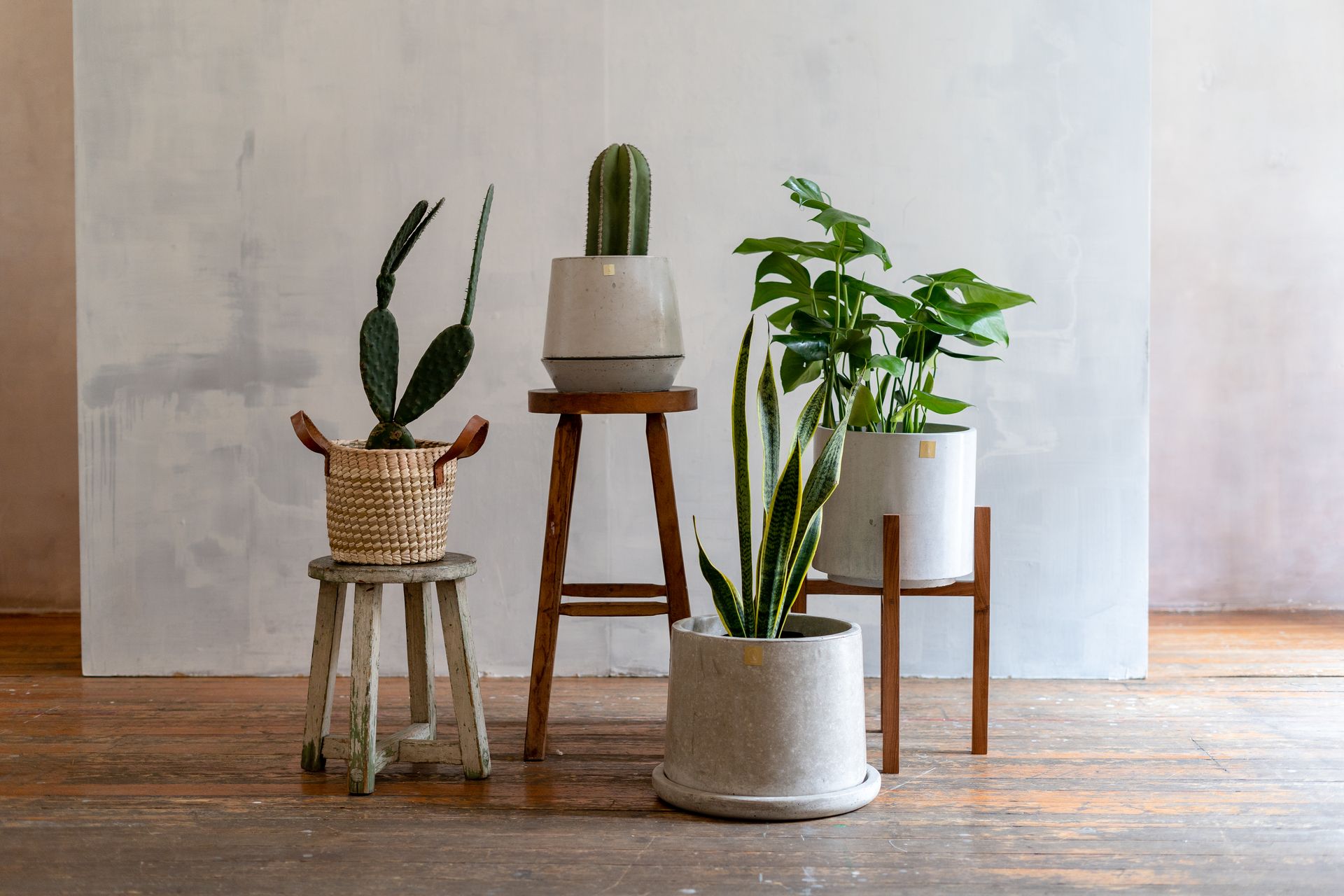 Macetas decorativas para diseño de interiores